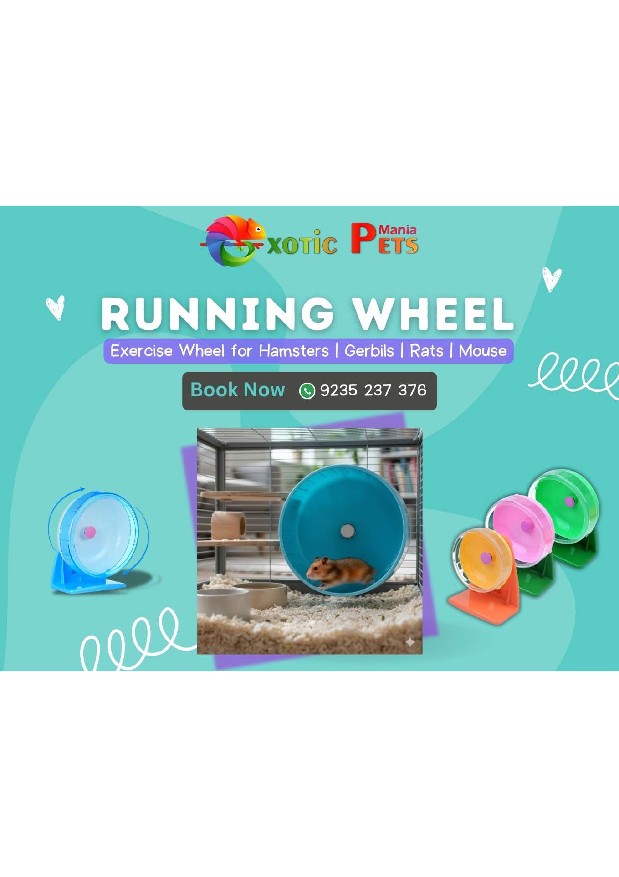 Buy Hamster Running Wheel for Exercise & Entertain – Free Pet ...
